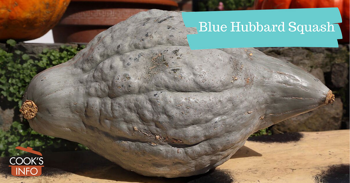 Blue Hubbard Squash - CooksInfo