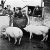 British Wartime Food - CooksInfo
