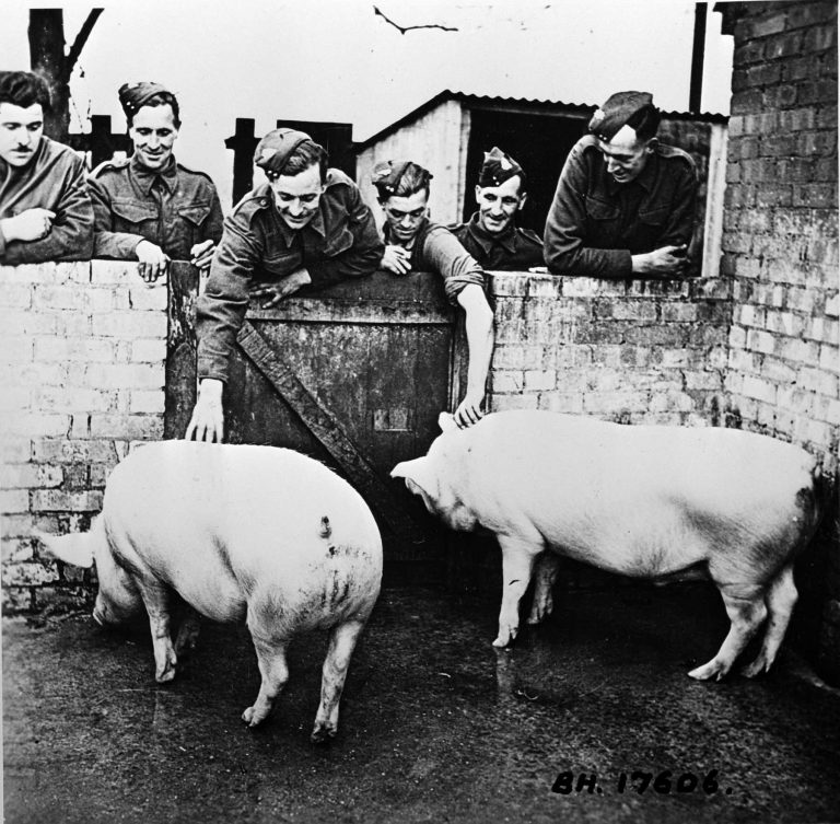 British Wartime Food - CooksInfo