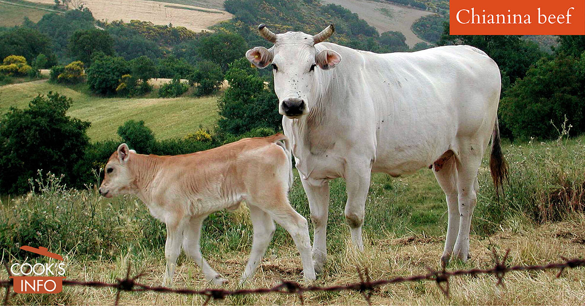 Chianina Beef - CooksInfo