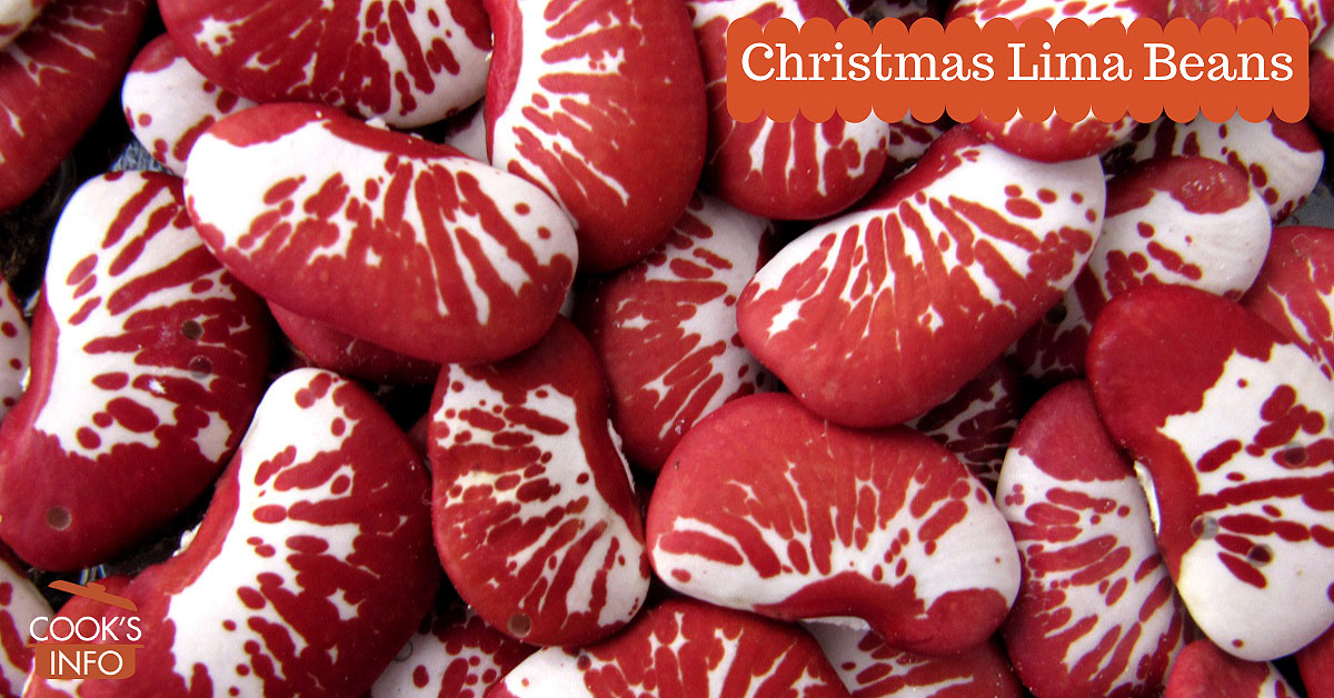Christmas Lima Beans - CooksInfo