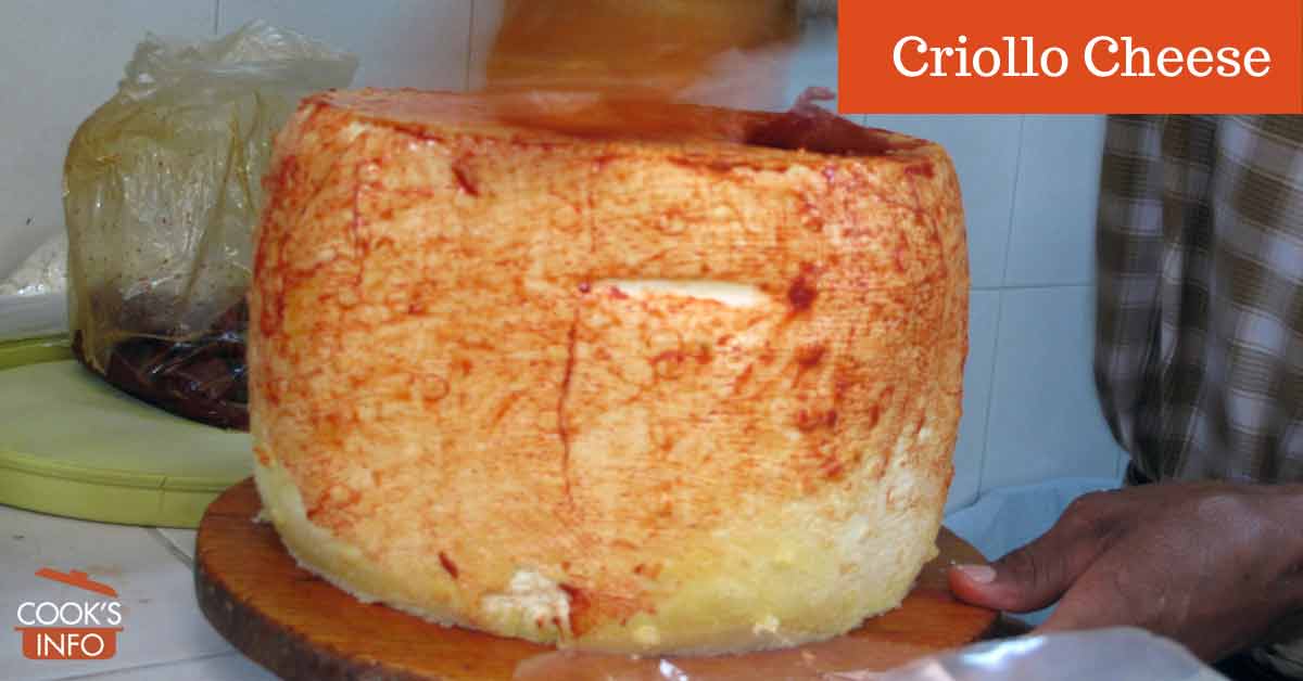 Criollo Cheese - CooksInfo