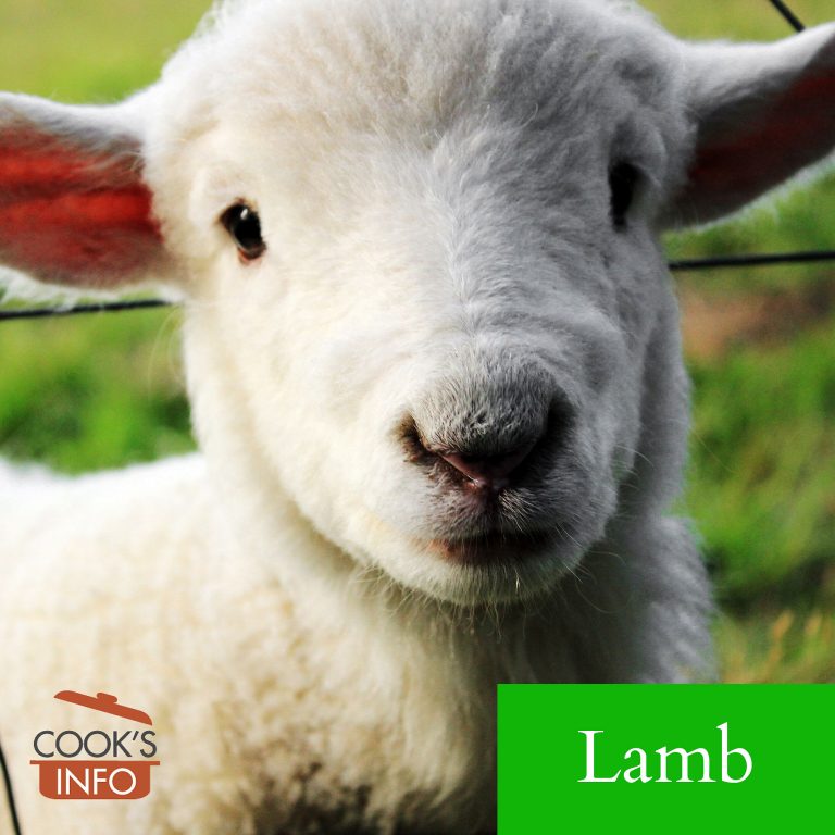 Lamb - CooksInfo