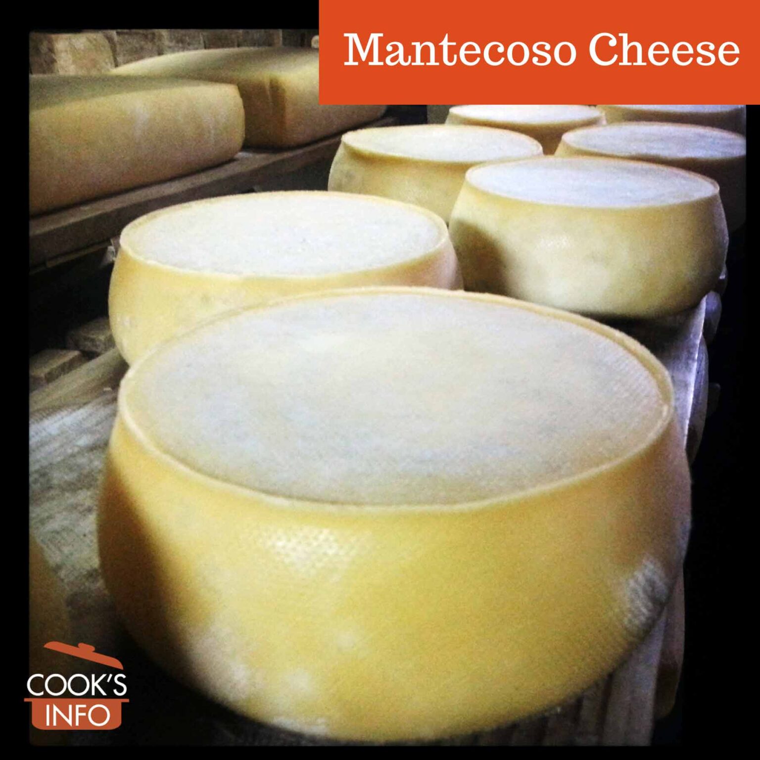Mantecoso Cheese - CooksInfo