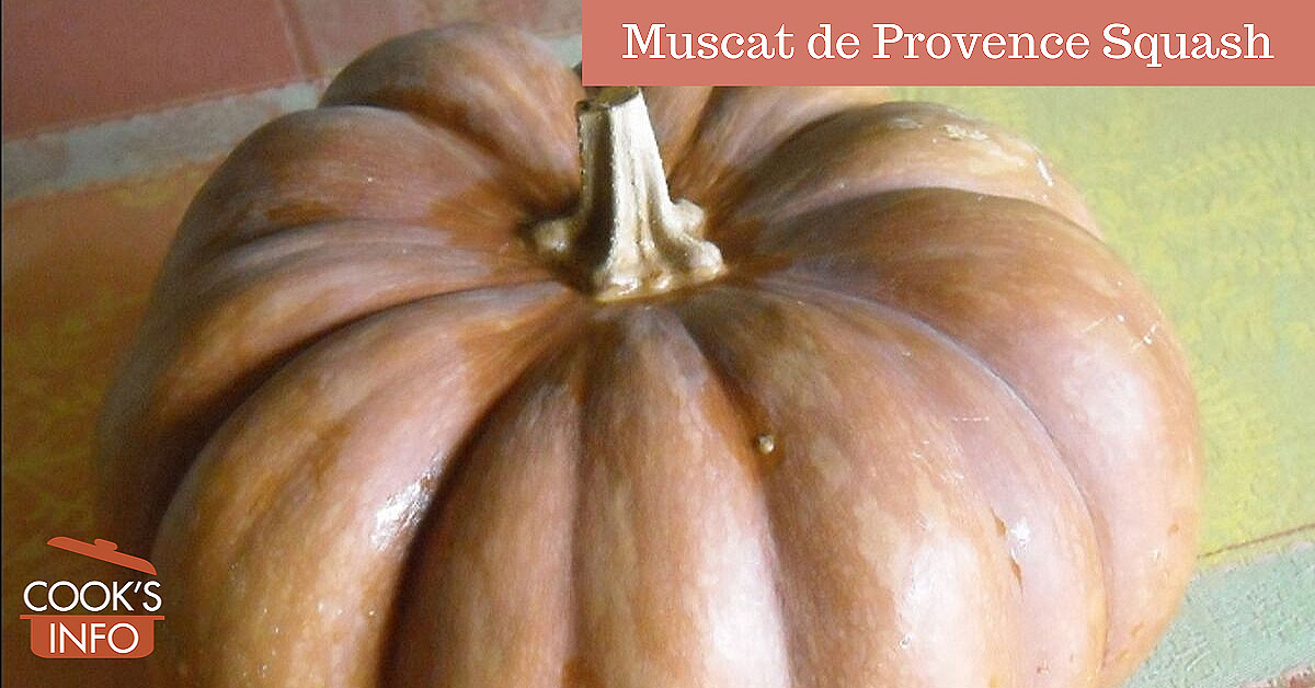Muscat de Provence Squash - CooksInfo