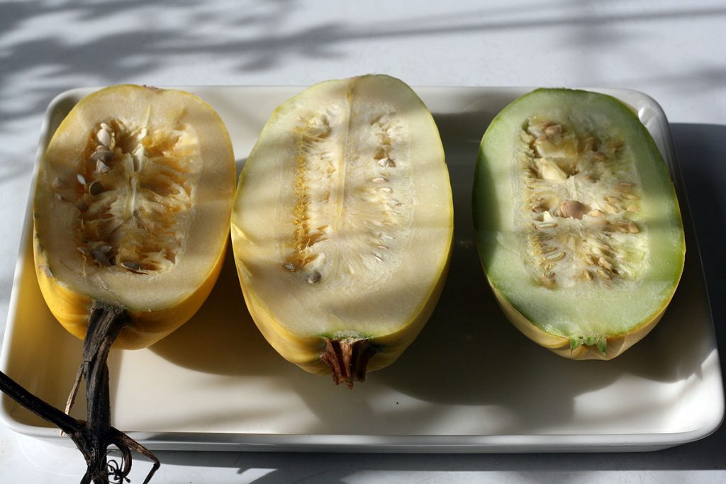 Spaghetti Squash - CooksInfo