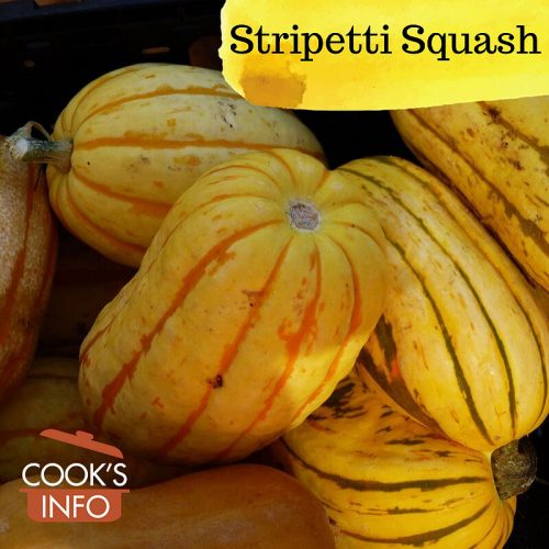 Stripetti Squash - CooksInfo