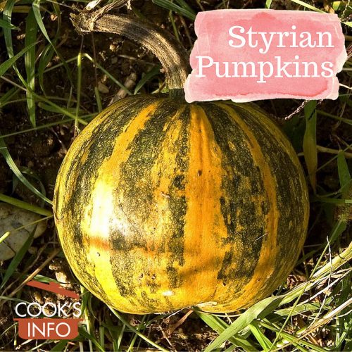 Styrian Pumpkins - CooksInfo