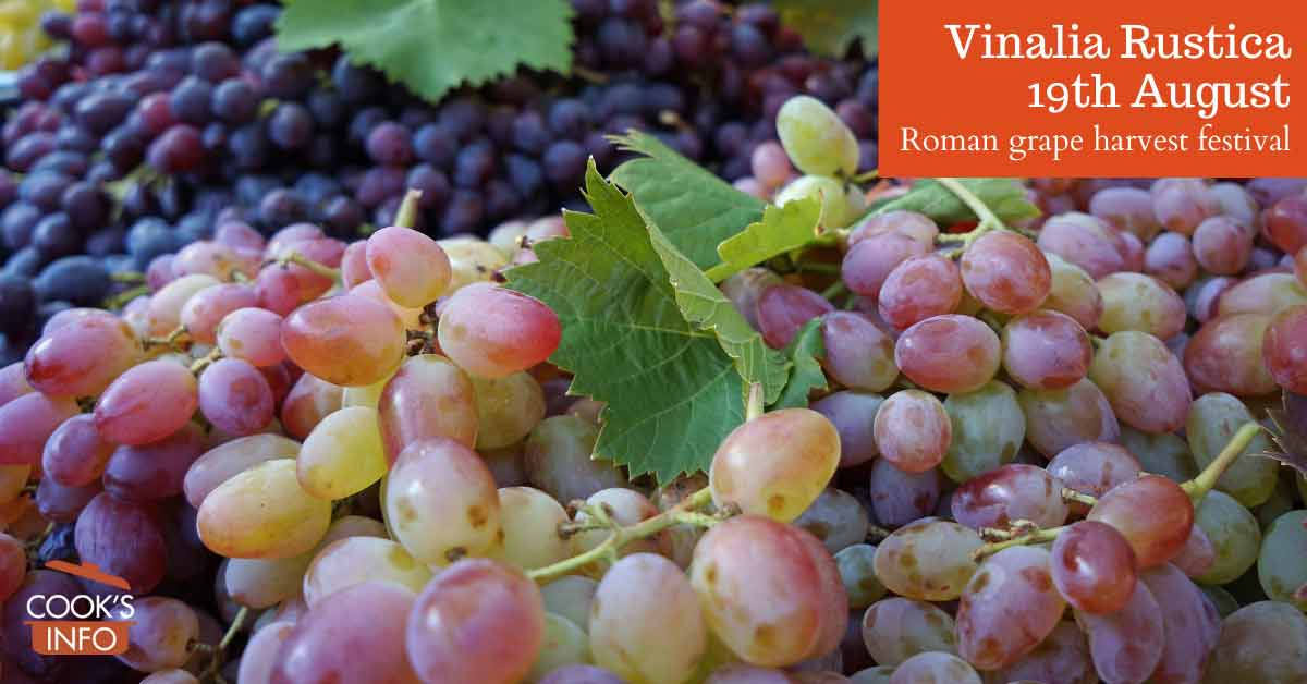 Vinalia rustica - CooksInfo