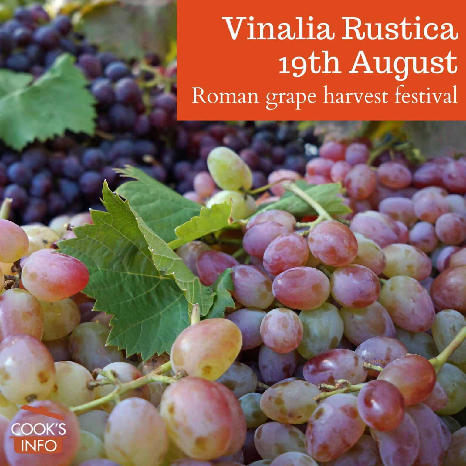 Vinalia rustica - CooksInfo
