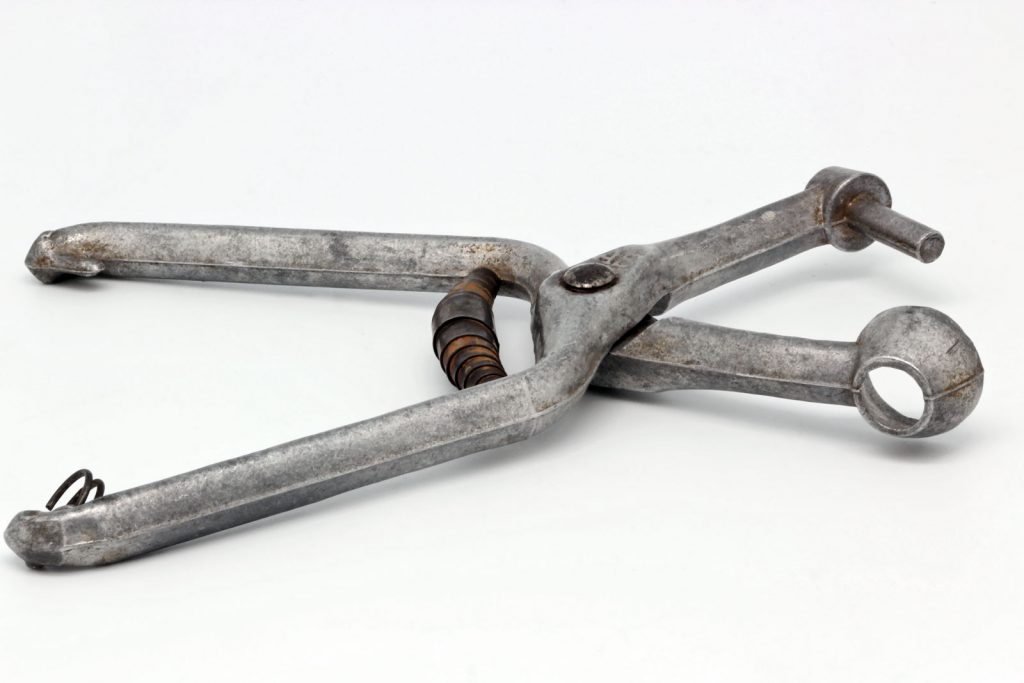 Olive Pitter - CooksInfo