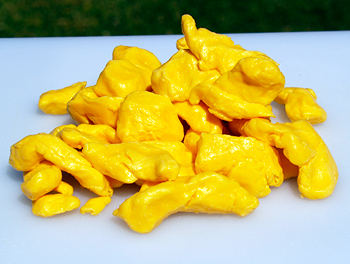 Cheese Curds